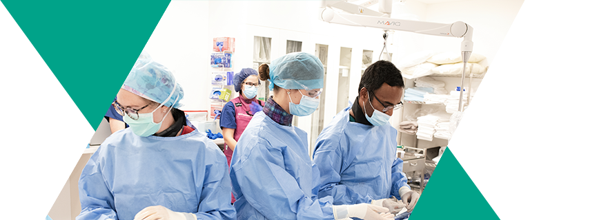 Bendigo Health Website - Meet the Cardiology Team